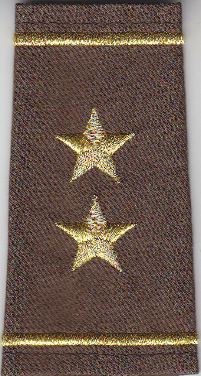2 STARS Gold on Brown Shoulder Boards