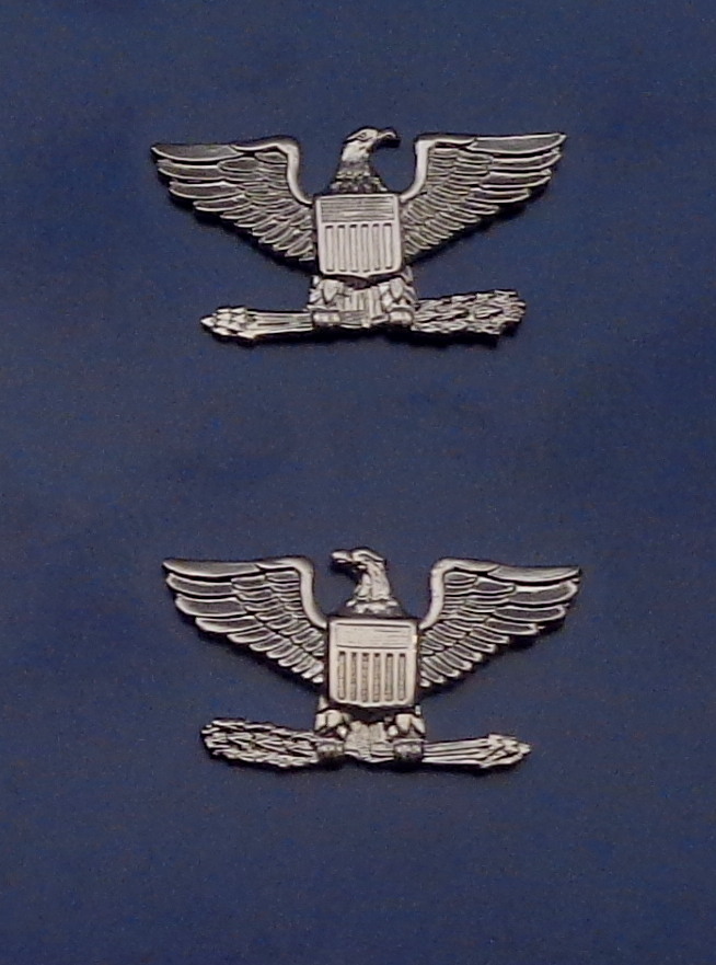 Colonel SMALL silver clutch back eagles birds