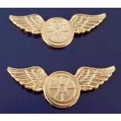 Motorcycle/Traffic: Uniform Insignias